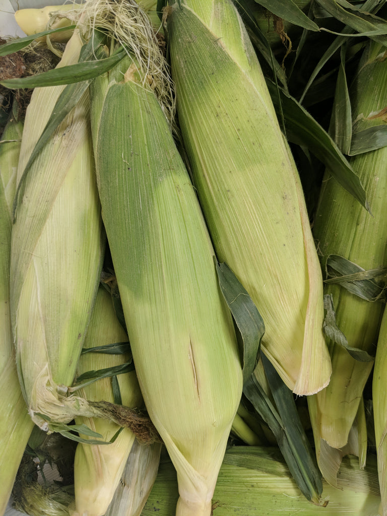 Fresh White Corn – We'll Get The Food